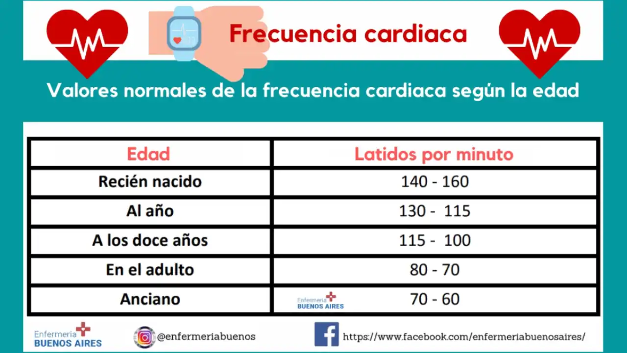 Frecuencia Cardíaca Normal: ¿Estás en Riesgo? Descúbrelo y Mejora tu ...